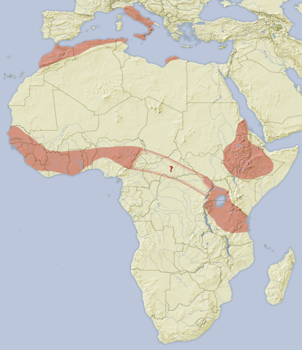 Map Of The Incredibly Bizarre Range Of The African Crested Porcupine ...