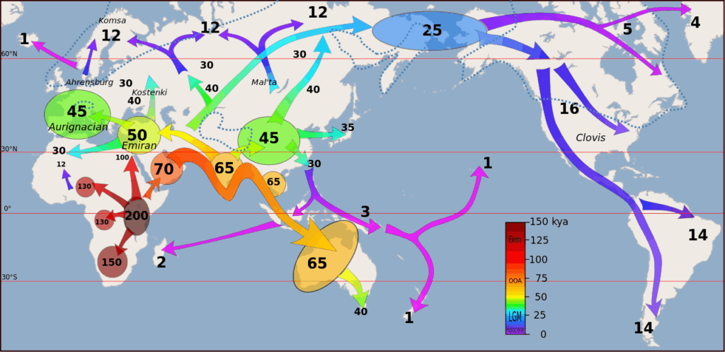 Human Expansion Timeline Map (With Estimated Total Human Population) In ...