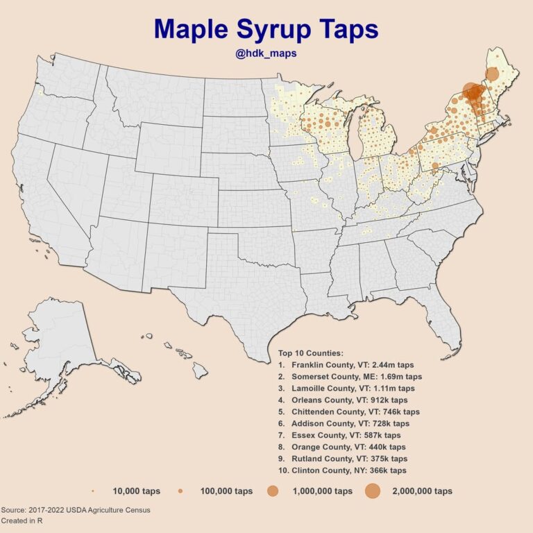 Maple Syrup Production by US State - Brilliant Maps