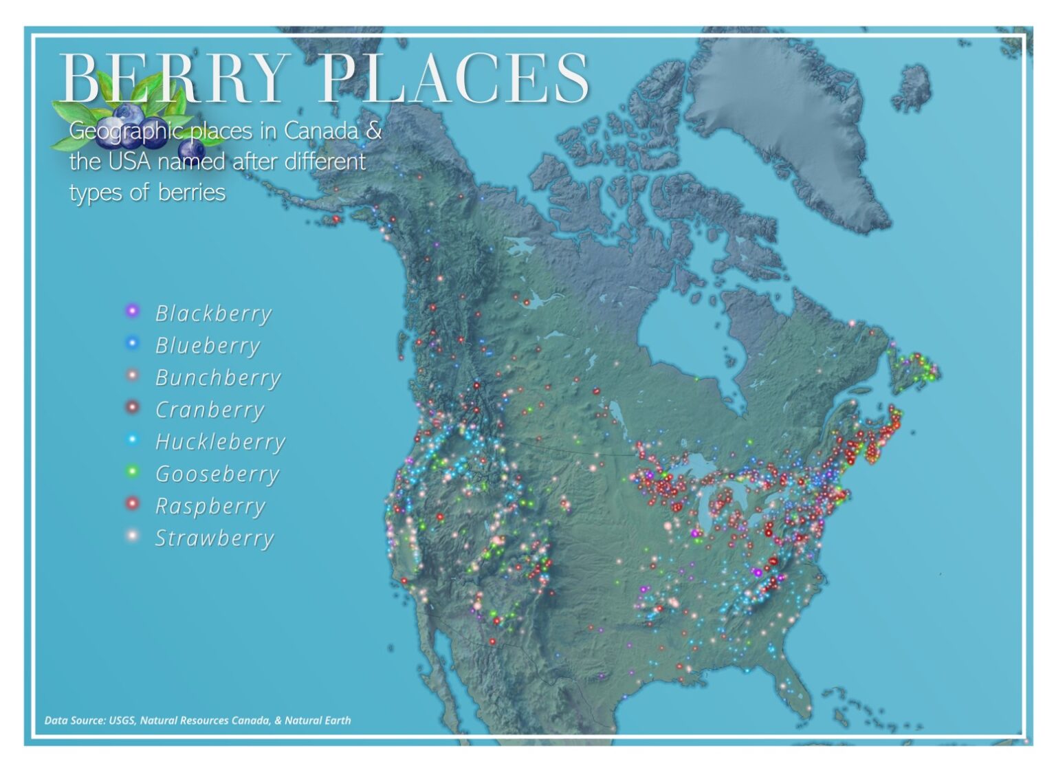 Where 19 Different Types of Berries Native to North America Grow ...