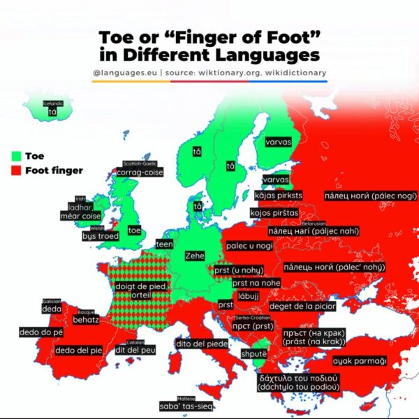 Use of the Word Toe vs "Finger of Foot" In Europe - Brilliant Maps