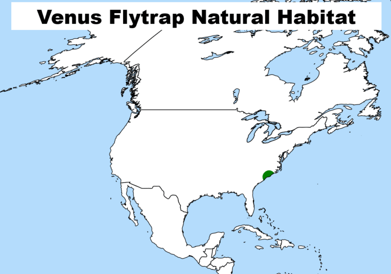 Venus Flytrap Natural Habitat Map - Brilliant Maps